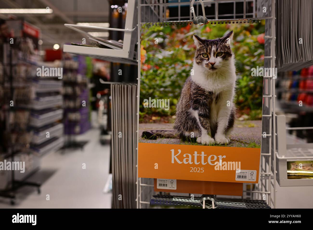 Markaryd, Småland, Sweden. December 20 2024. Dollar Store interior ...