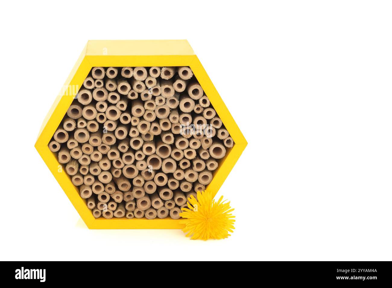 Bee house hexagonal shape for conservation & protection with honey bees ...