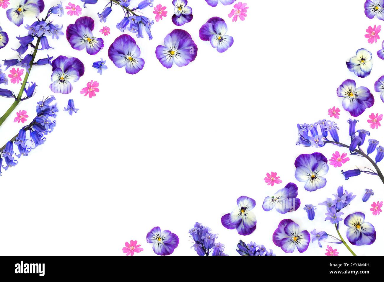 Spring Beltane flower border on white background. Floral springtime ...