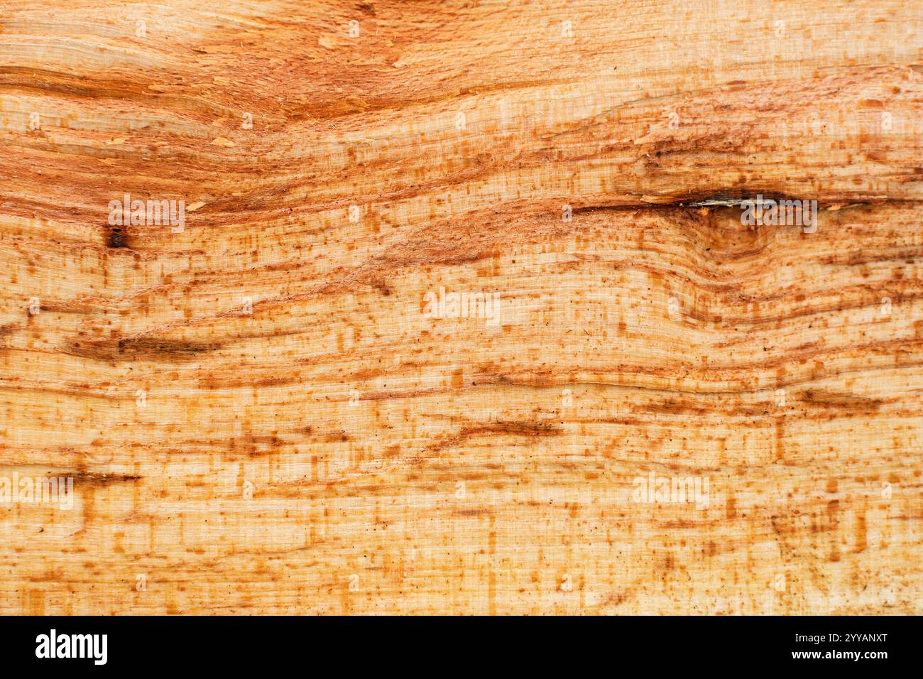Texture of dry wood Stock Photo - Alamy