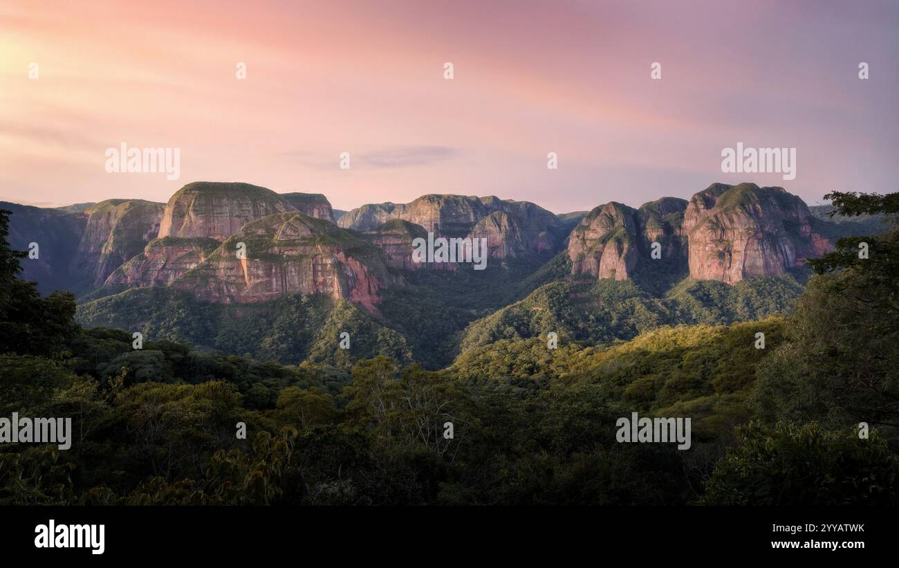 Amboro National Park, Amazon Forest in Bolivia Stock Photo - Alamy