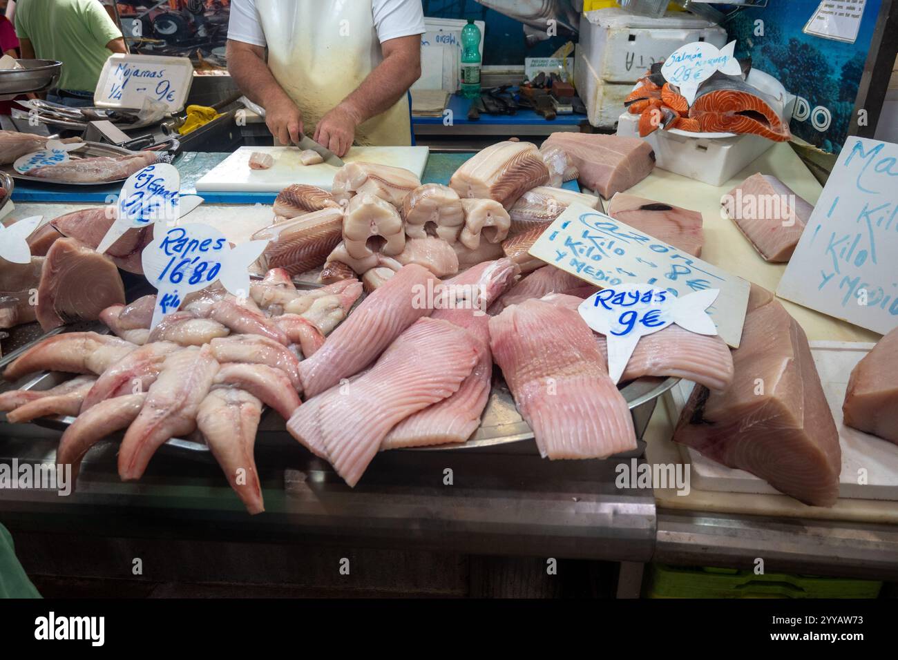 Assortment of fresh ocean daily catch of tuna, cazon, sharks, fish ...