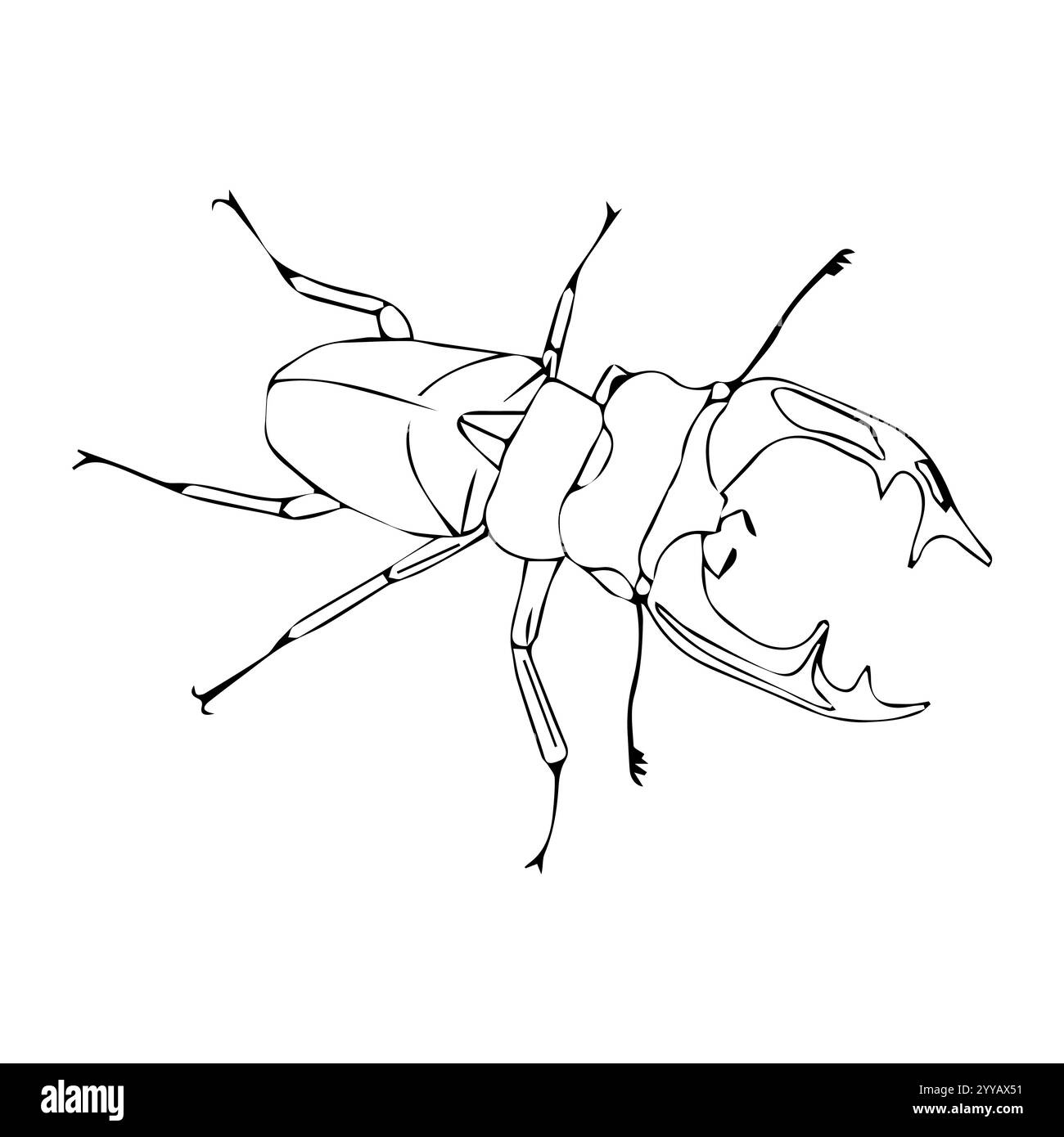 Stag beetle in doodle style. Vector illustration isolated on white ...