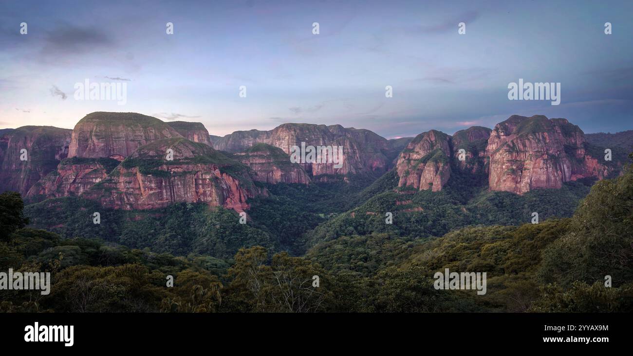 Amboro National Park, Amazon Forest in Bolivia Stock Photo - Alamy
