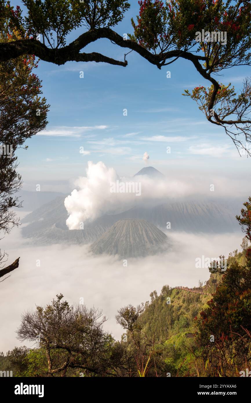 Mount Bromo Volcano on Java Indonesia Stock Photo - Alamy