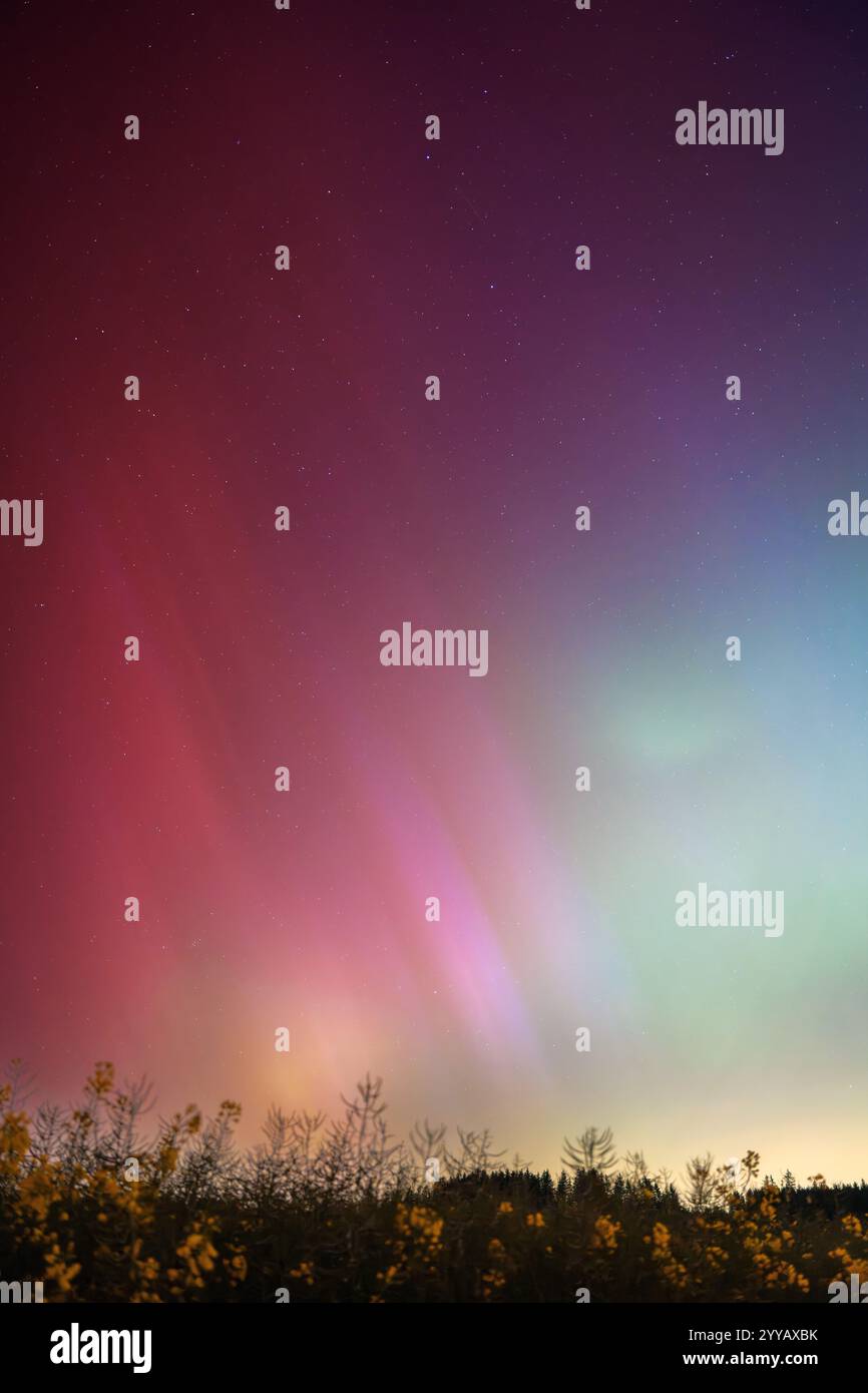 Northern Lights over Fields and Trees Stock Photo - Alamy