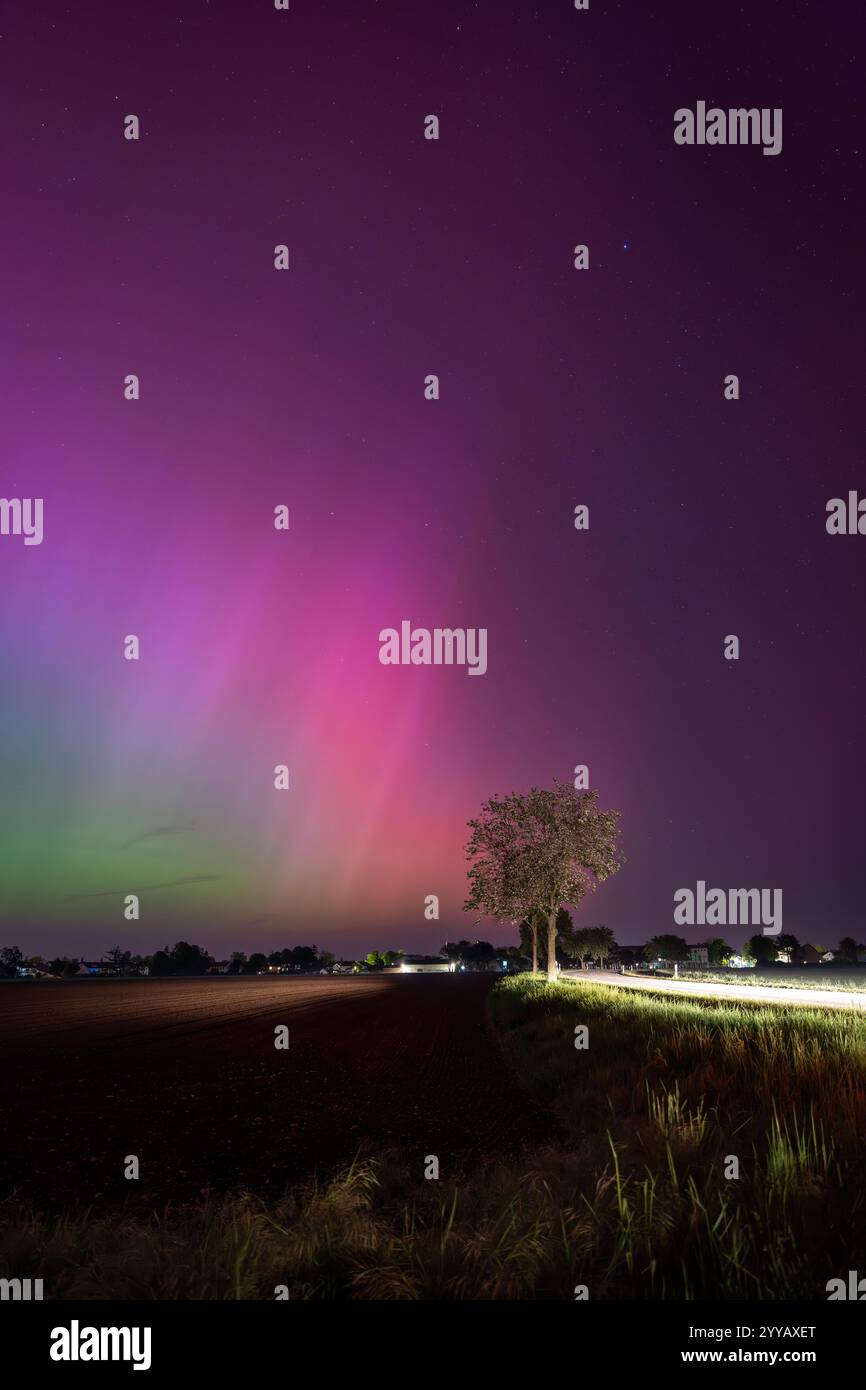 Northern Lights over Fields and Trees Stock Photo - Alamy