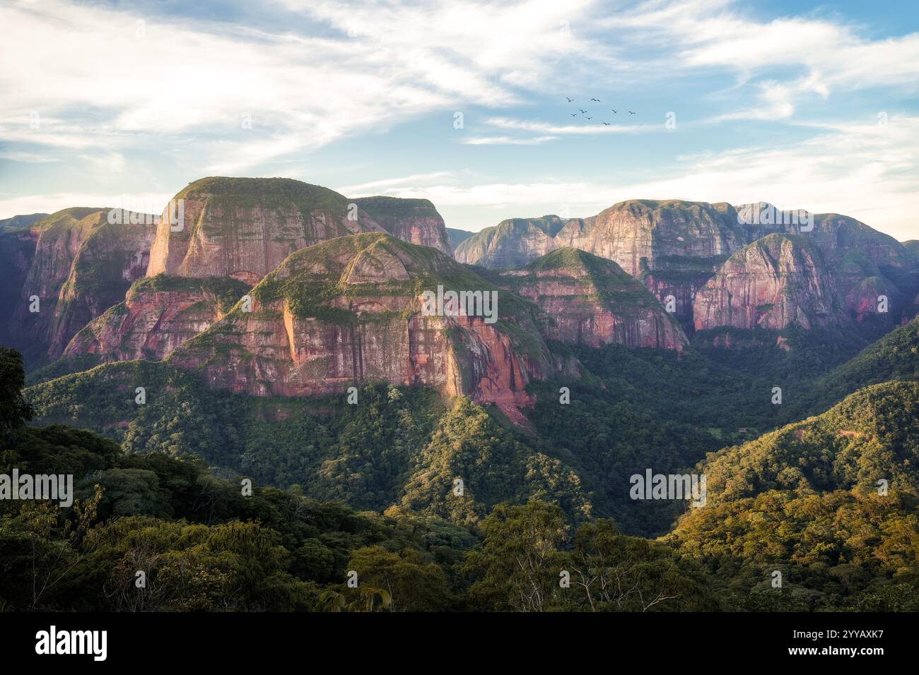 Amboro National Park, Amazon Forest in Bolivia Stock Photo - Alamy