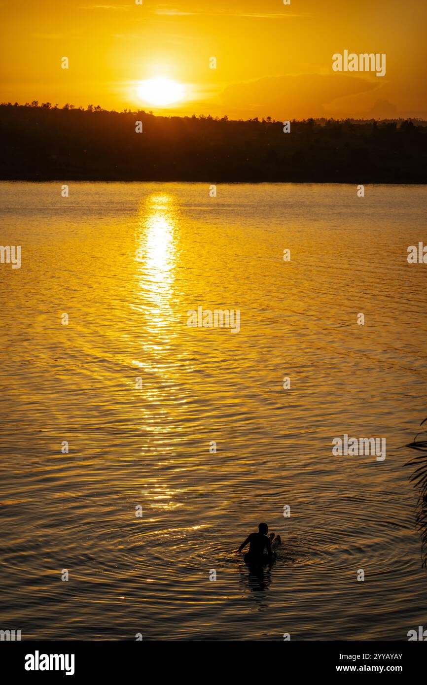 Floating pine log hi-res stock photography and images - Alamy