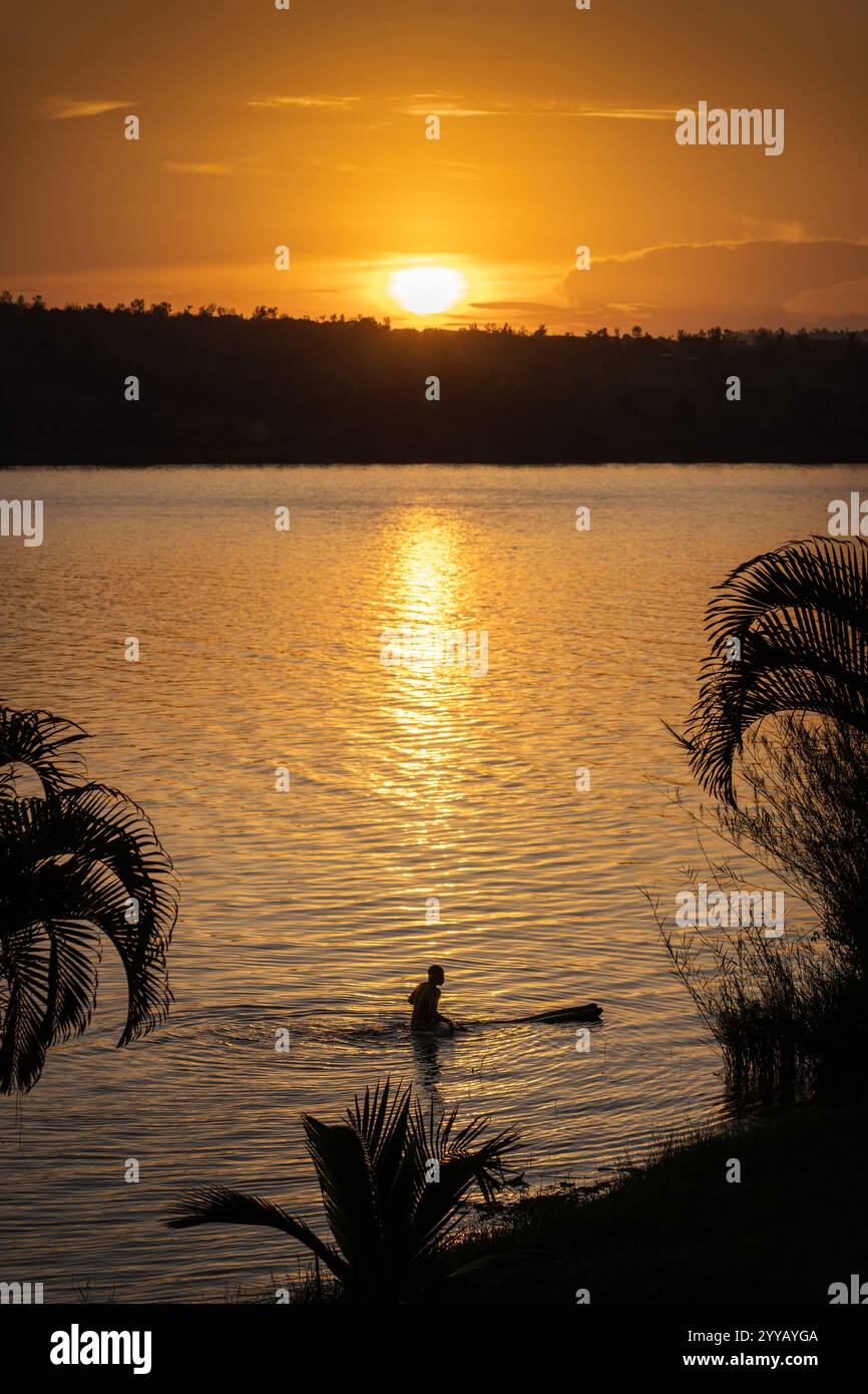 Floating pine log hi-res stock photography and images - Alamy