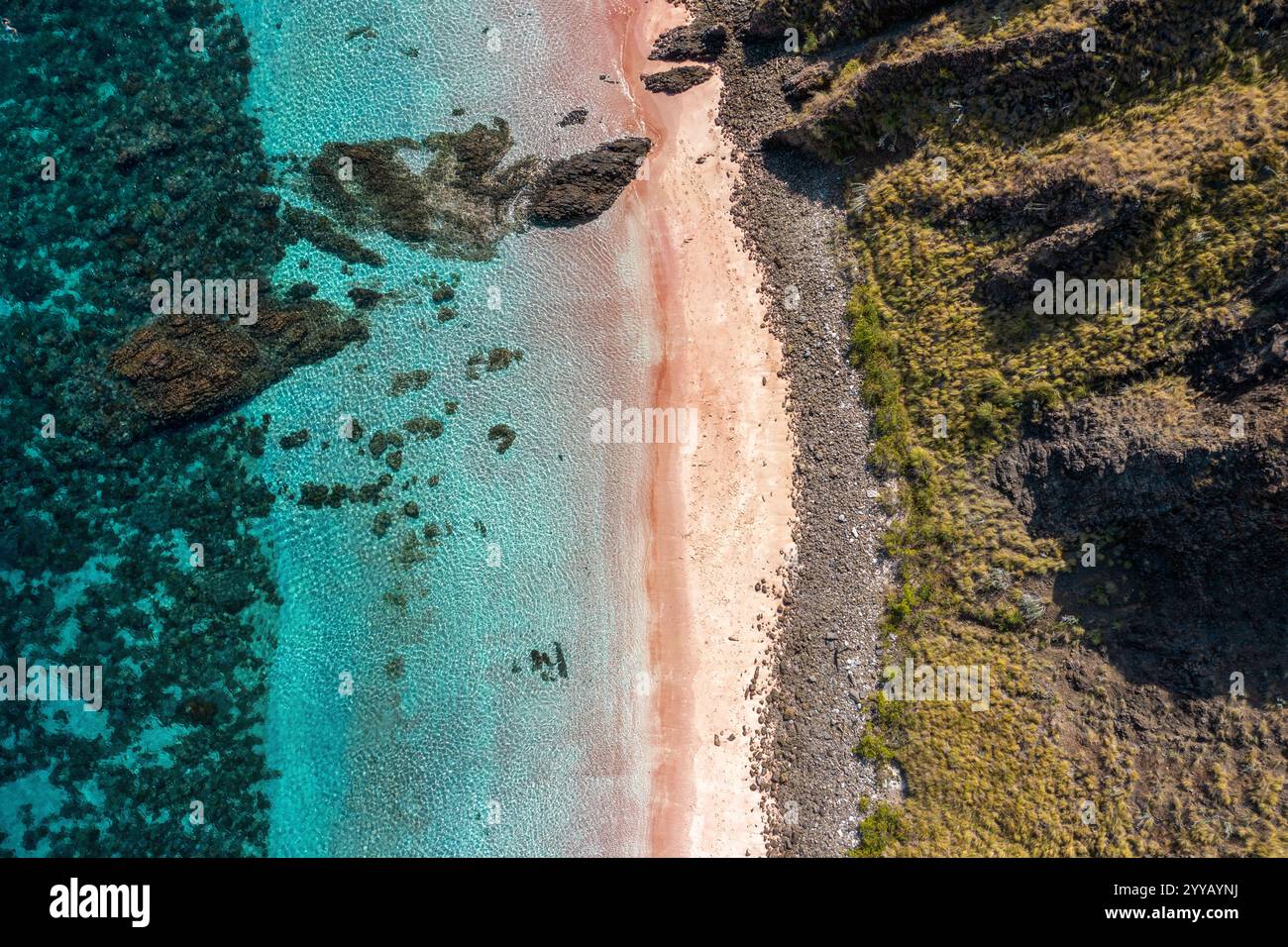 Pink Beach on Padar Island Indonesia Stock Photo - Alamy