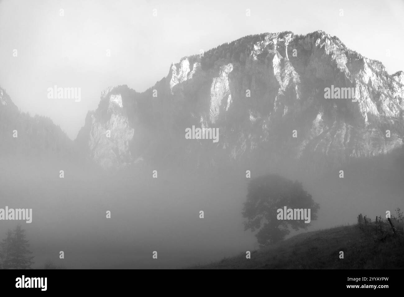 Dramatic morning view silhouette Black and White Stock Photos & Images ...