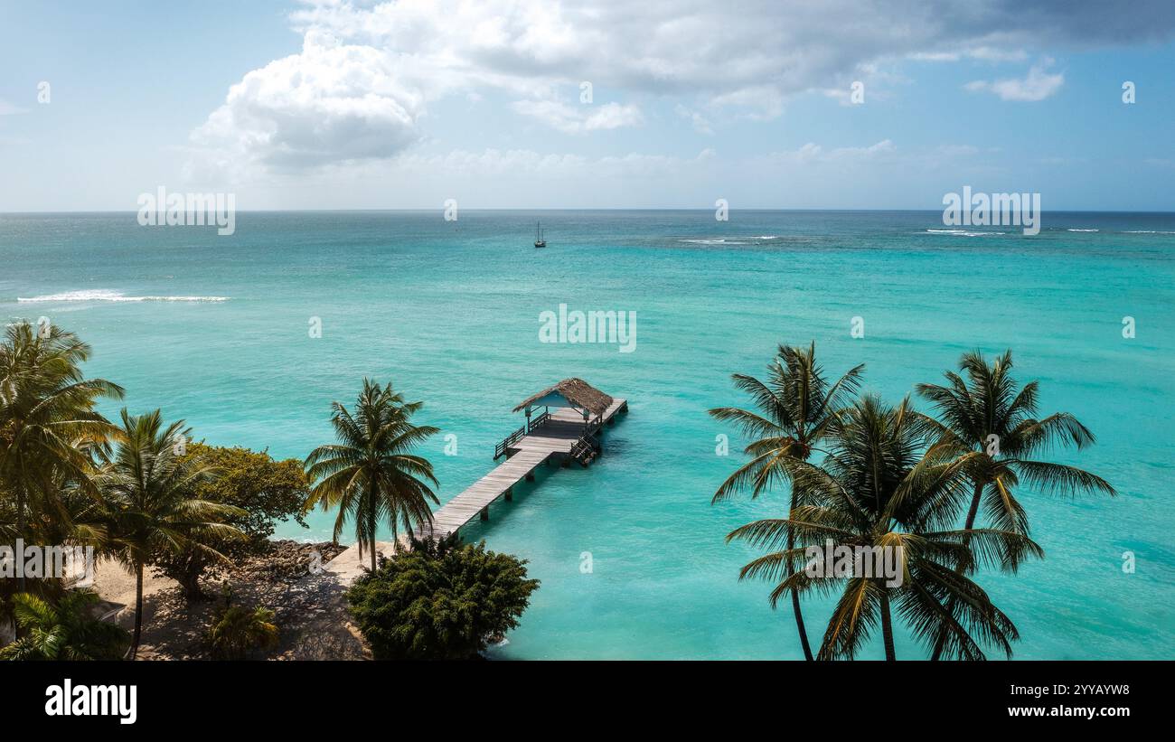 Coconut trees beach tobago hi-res stock photography and images - Alamy