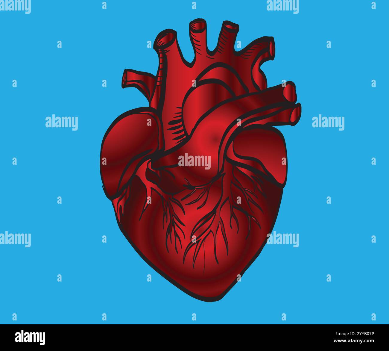 Realistic anatomical red heart beating on dark background Stock Vector ...