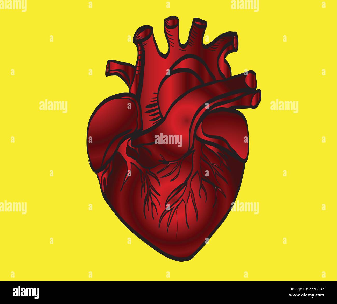 Realistic anatomical red heart beating on dark background Stock Vector ...
