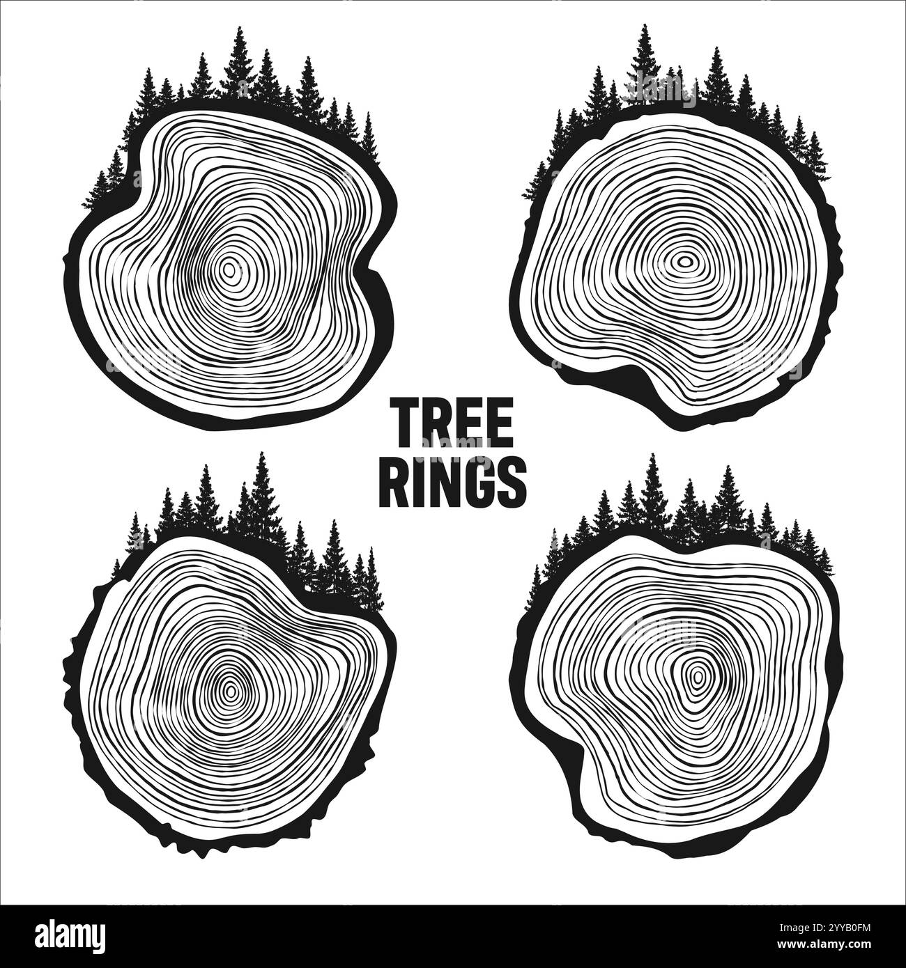 Round tree trunk cuts with trees and forest. Sawn pine or oak slices ...