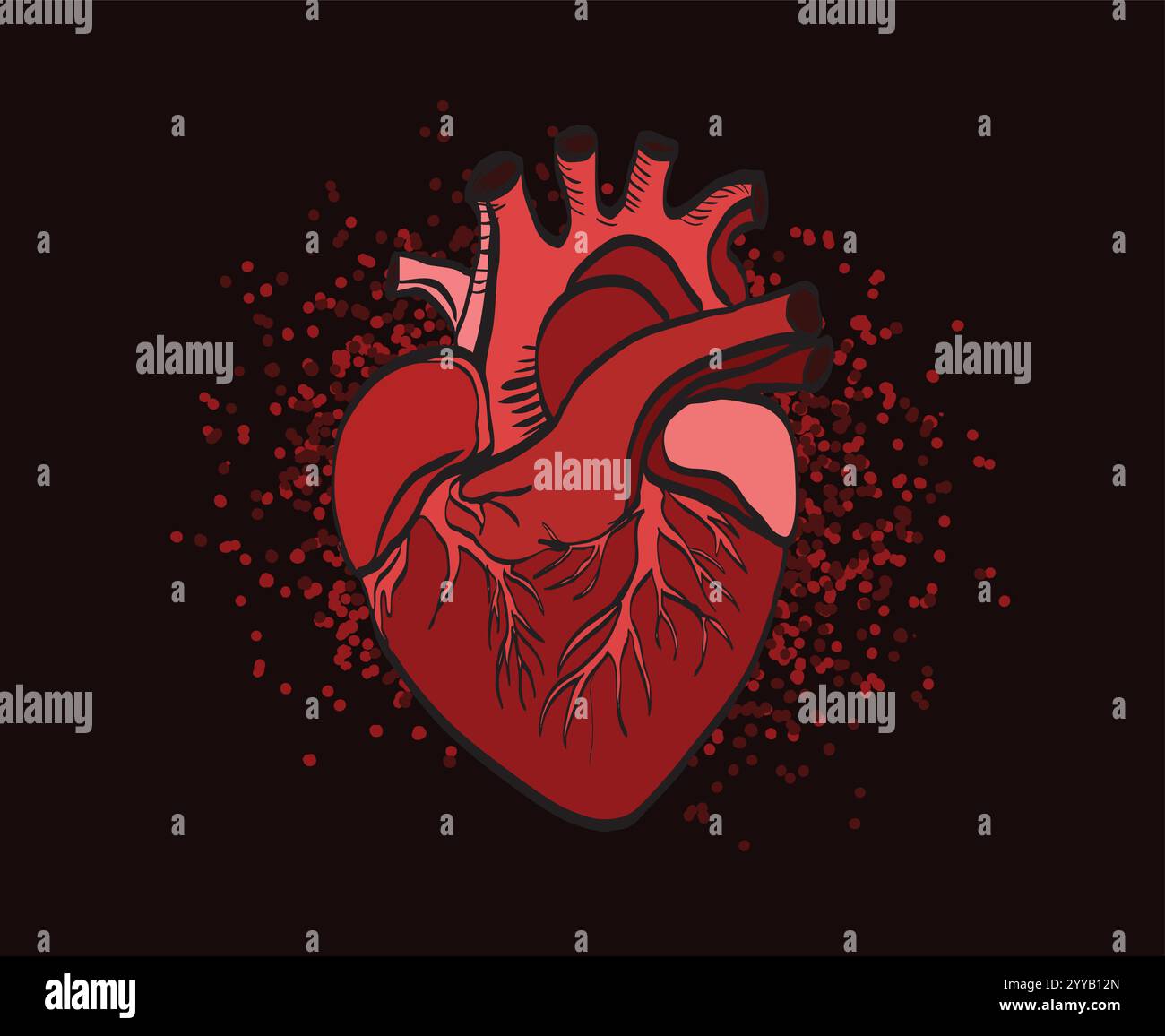 Realistic anatomical red heart beating on dark background Stock Vector ...