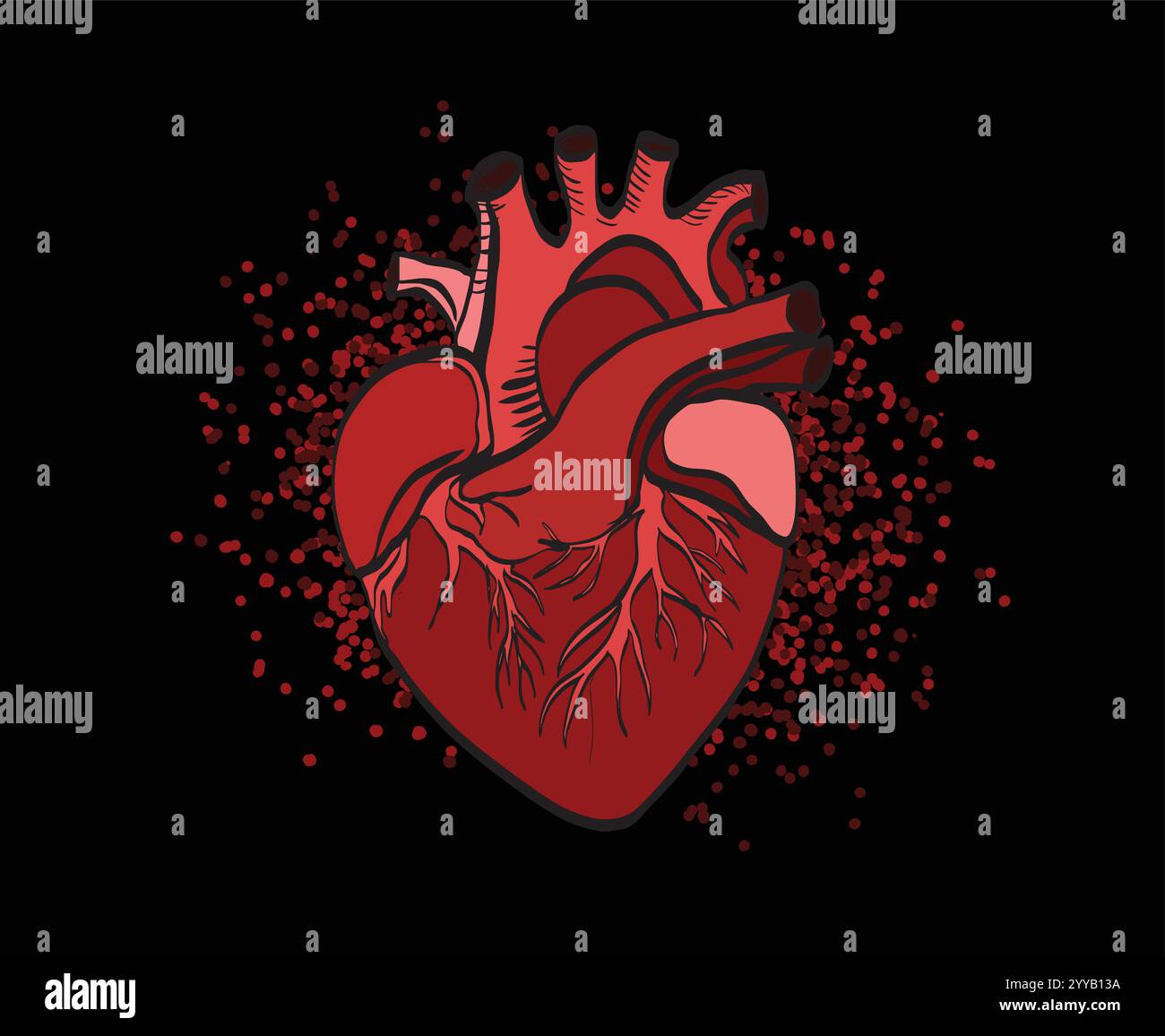 Realistic anatomical red heart beating on dark background Stock Vector ...