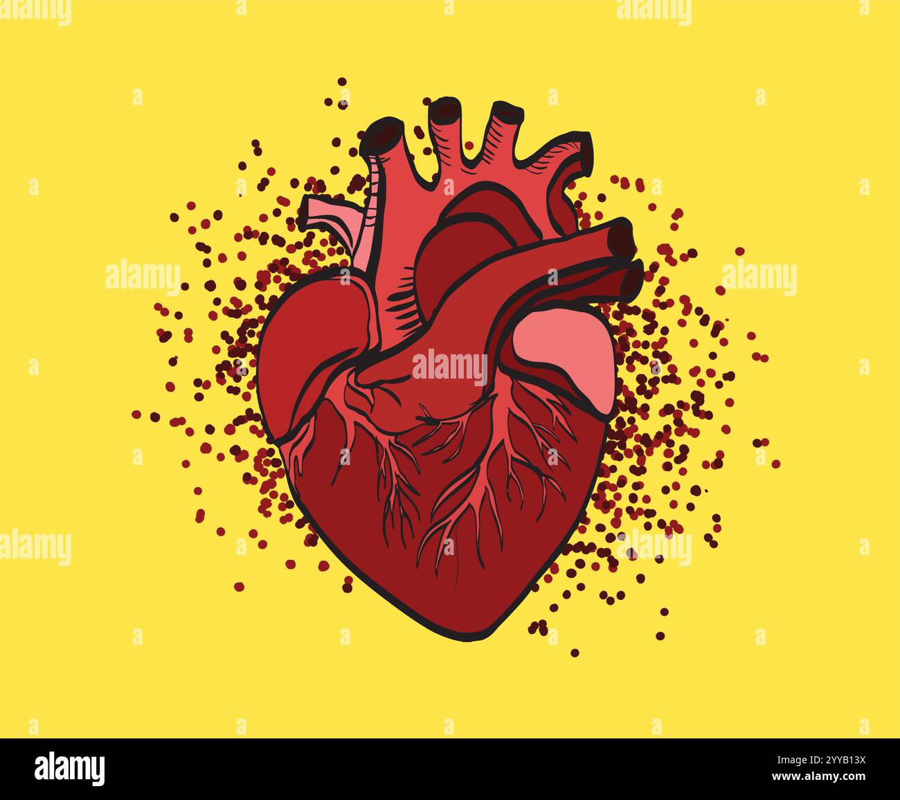 Realistic anatomical red heart beating on dark background Stock Vector ...