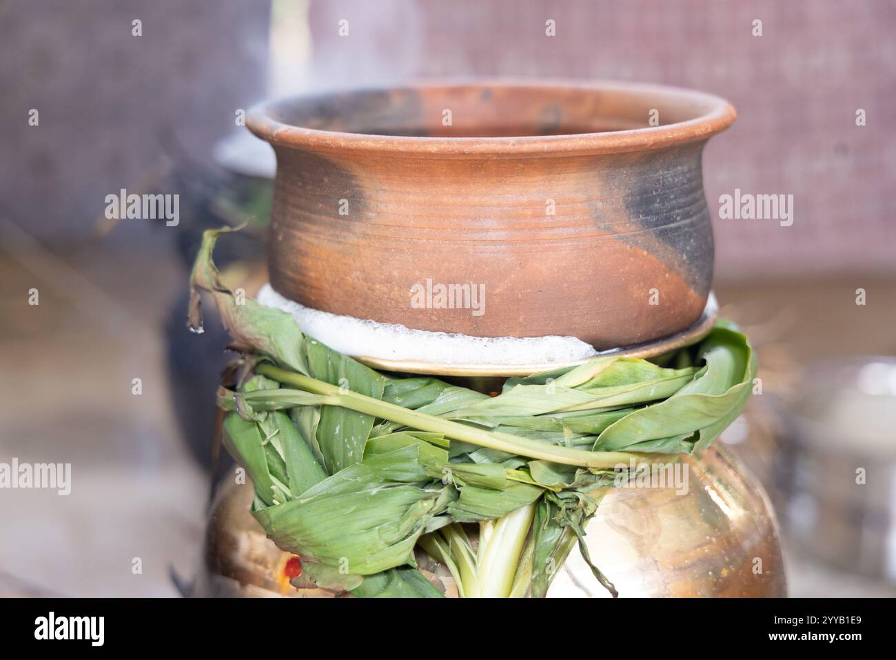 celebrating Traditional Thai Pongal festival to sun god with pot, lamp ...