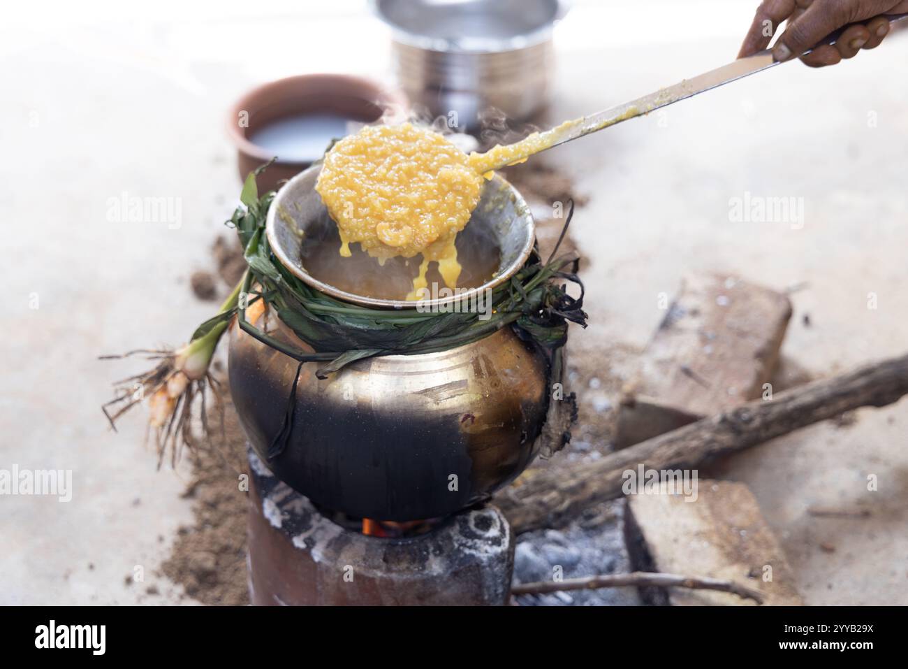 celebrating Traditional Thai Pongal festival to sun god with pot, lamp ...