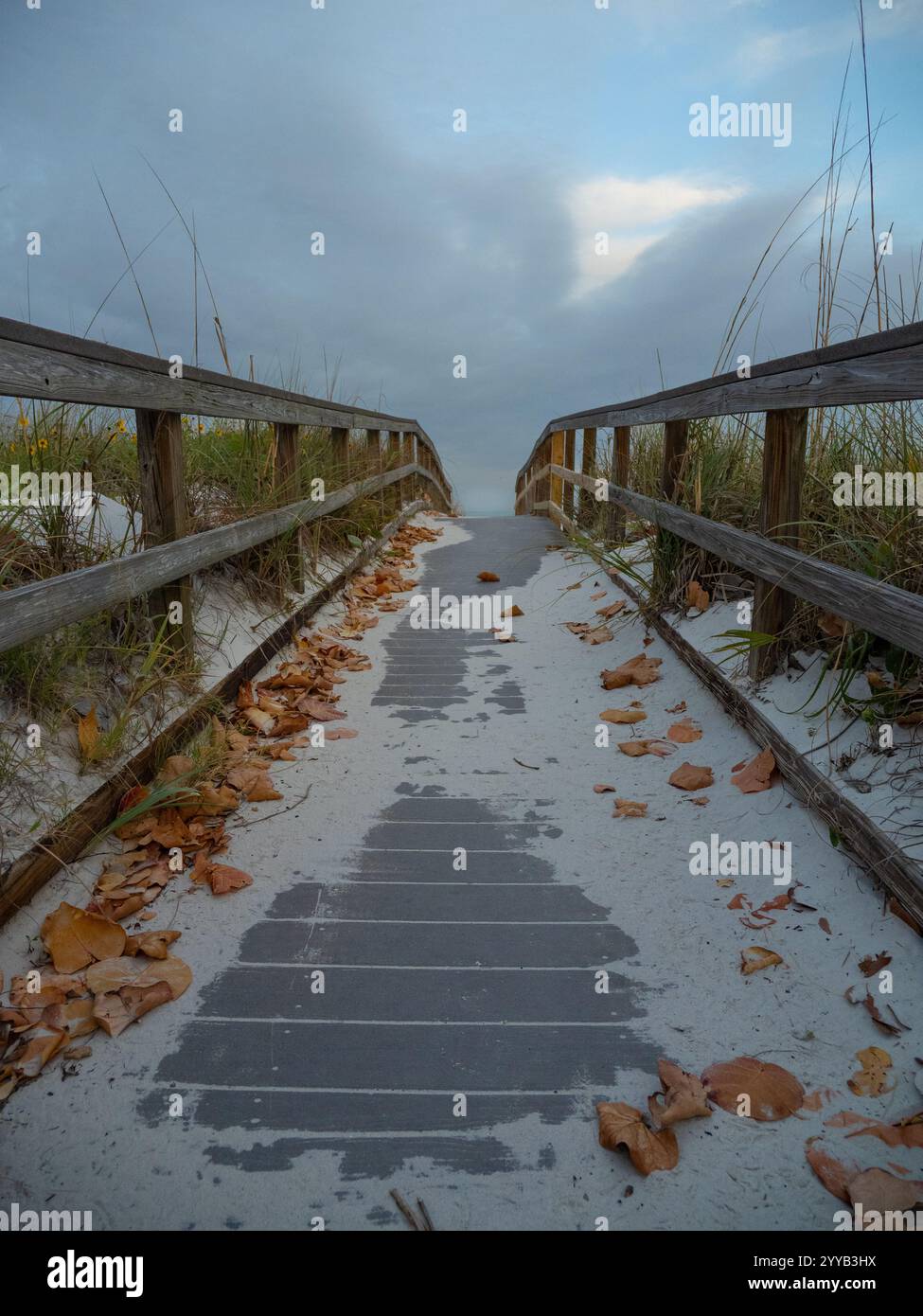 Long Wooden Beach Walk Over Dune Stock Photo - Alamy
