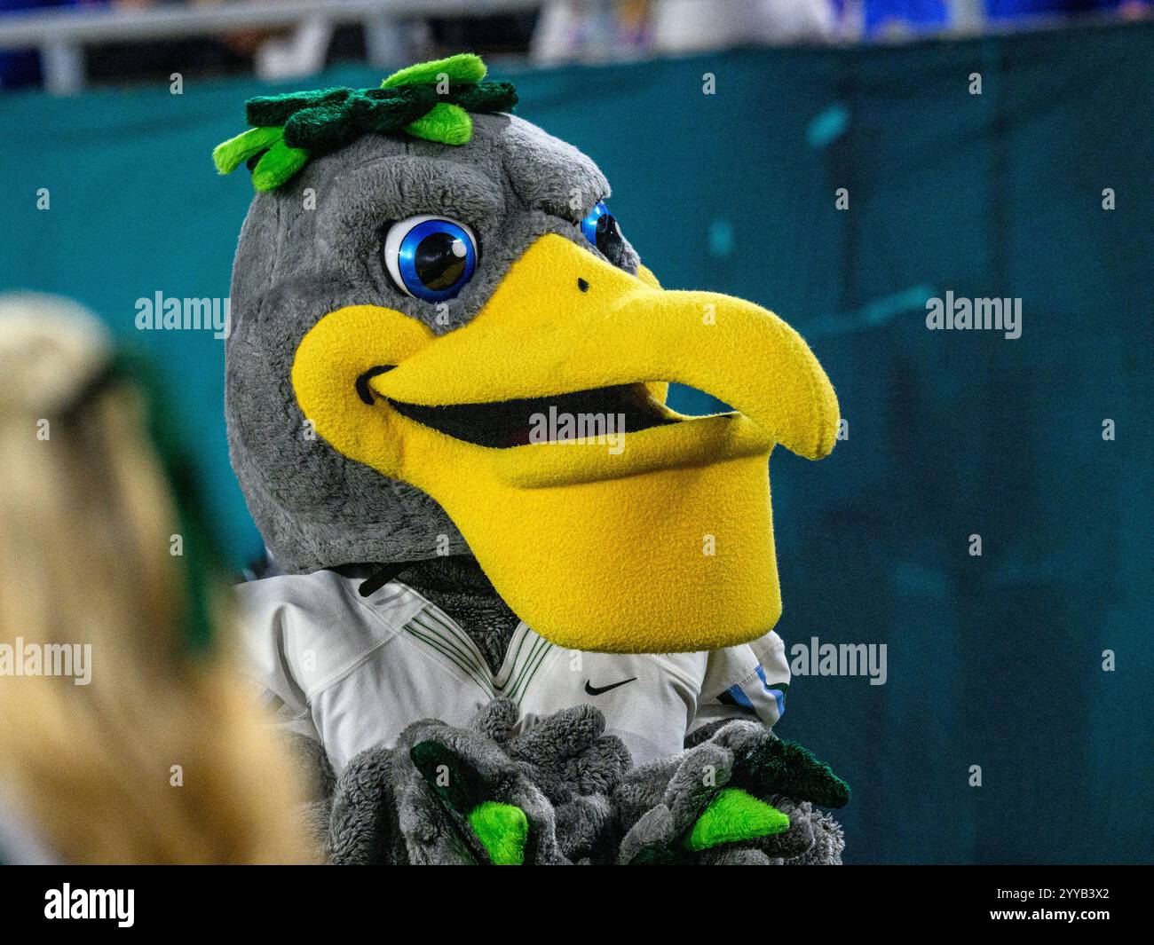 Rtg20241220 0778 jpg hi-res stock photography and images - Alamy