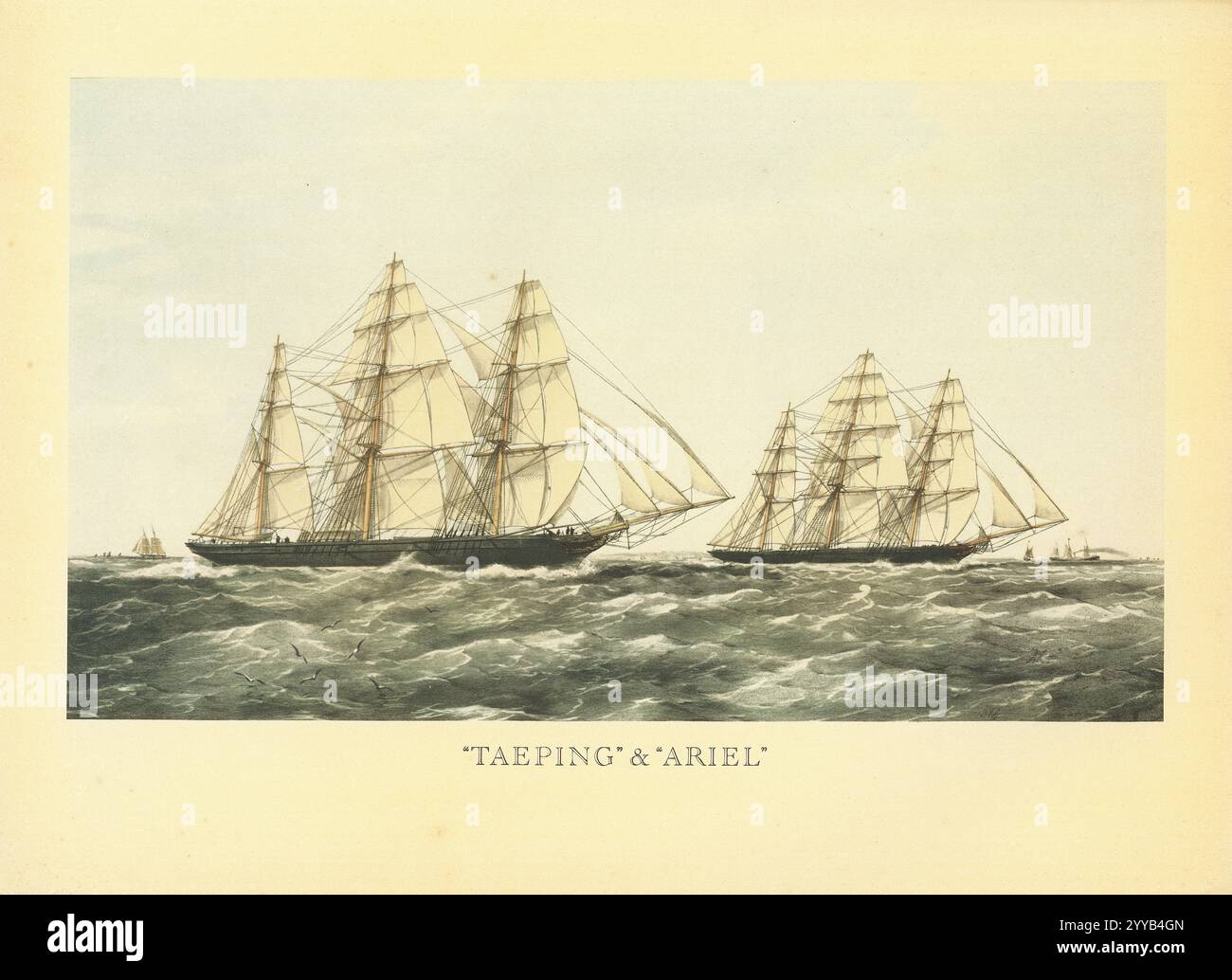 The mighty clippers "Taeping" and "Ariel" racing home neck-and-neck ...