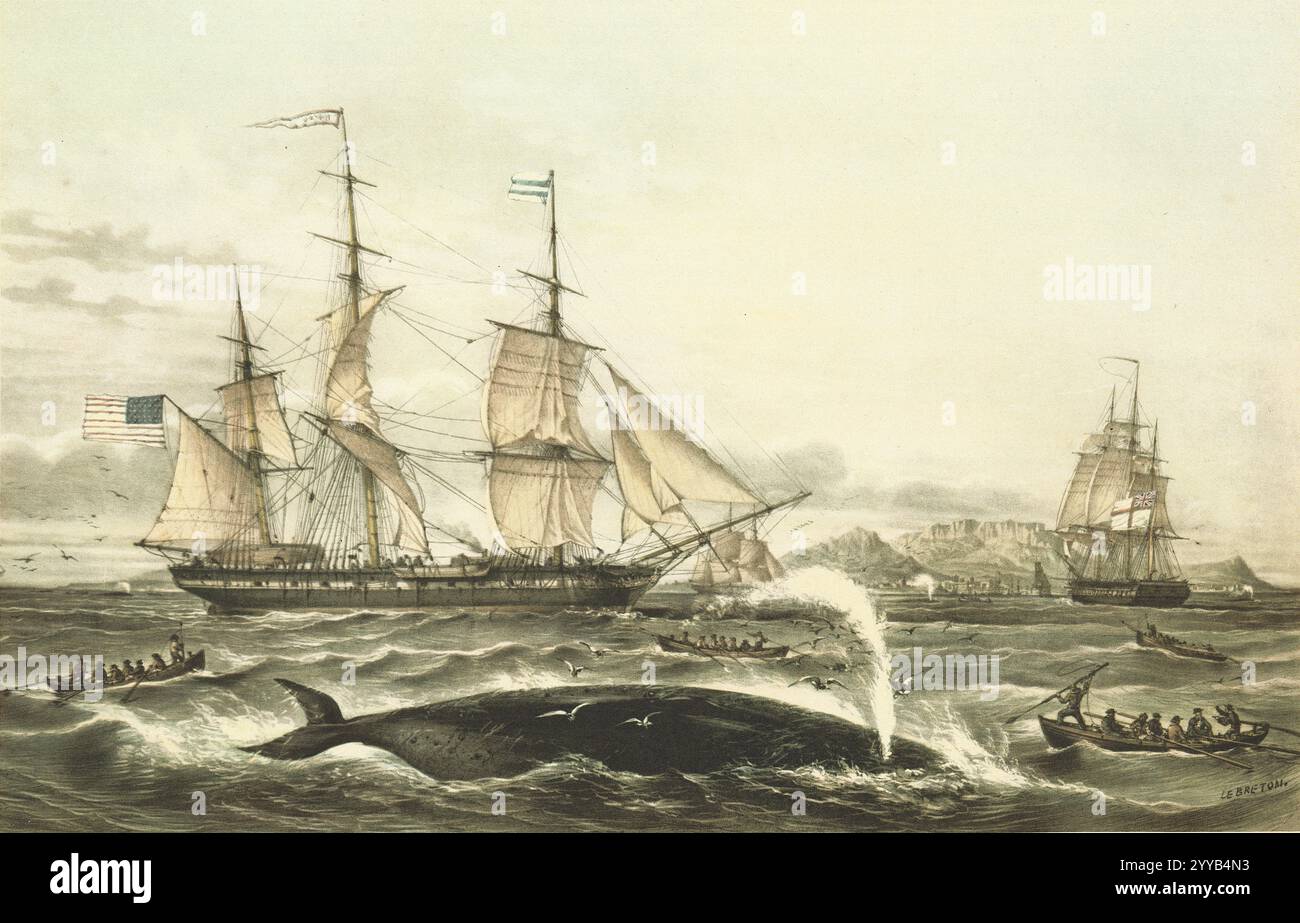 The American whaling ship Uncas at work off the Cape of Good Hope ...
