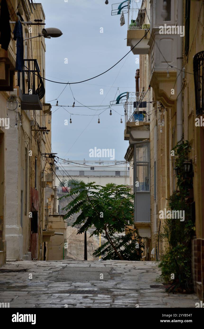 Id duluri hi-res stock photography and images - Alamy