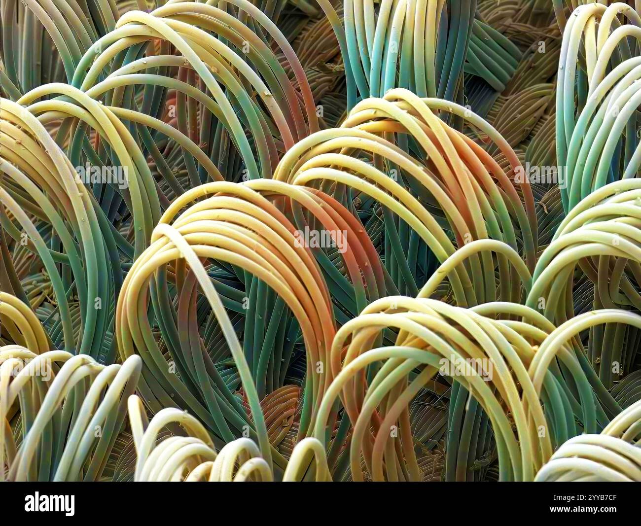 Nylon fabric micrograph hi-res stock photography and images - Alamy