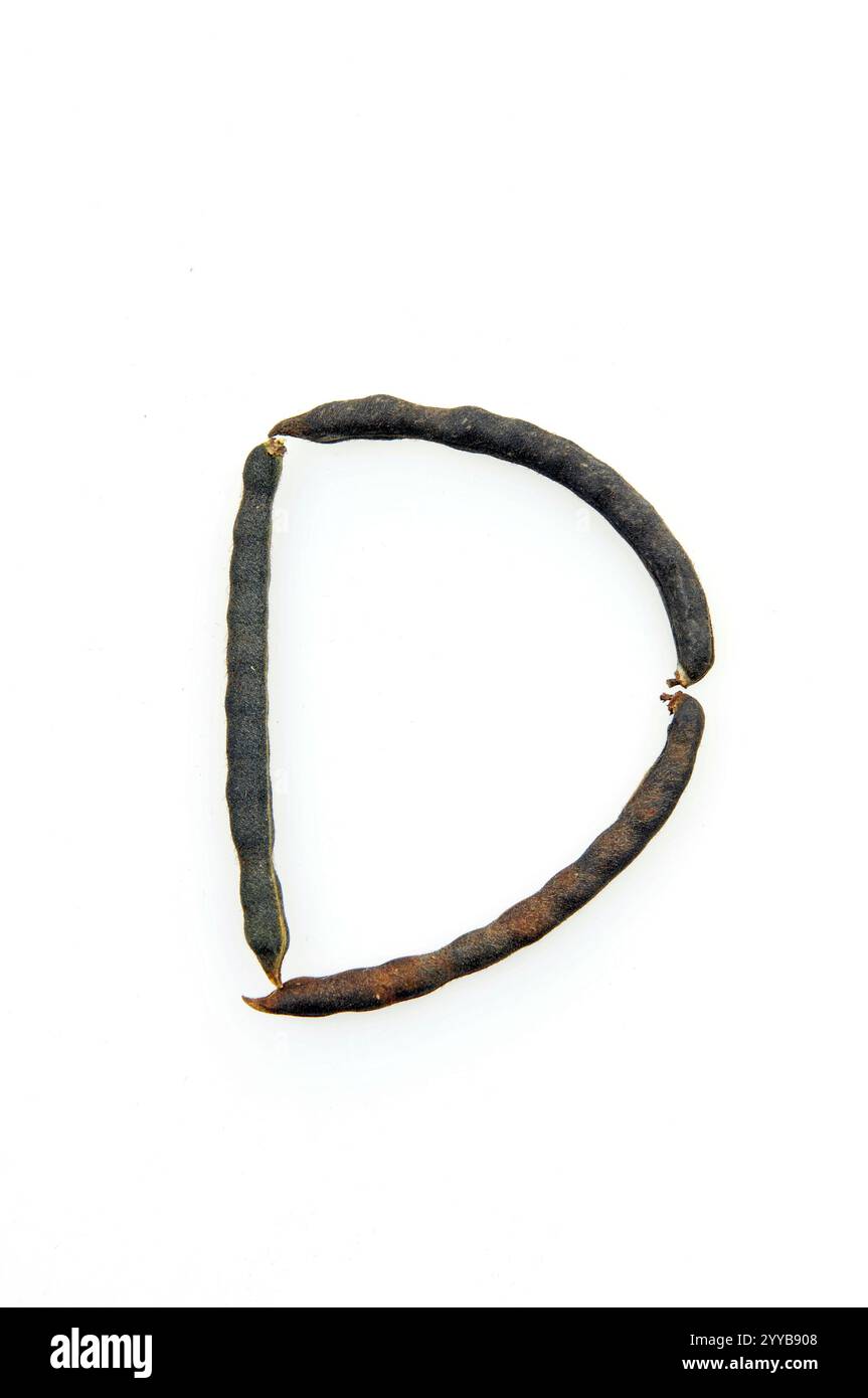 English red mung beans hi-res stock photography and images - Alamy