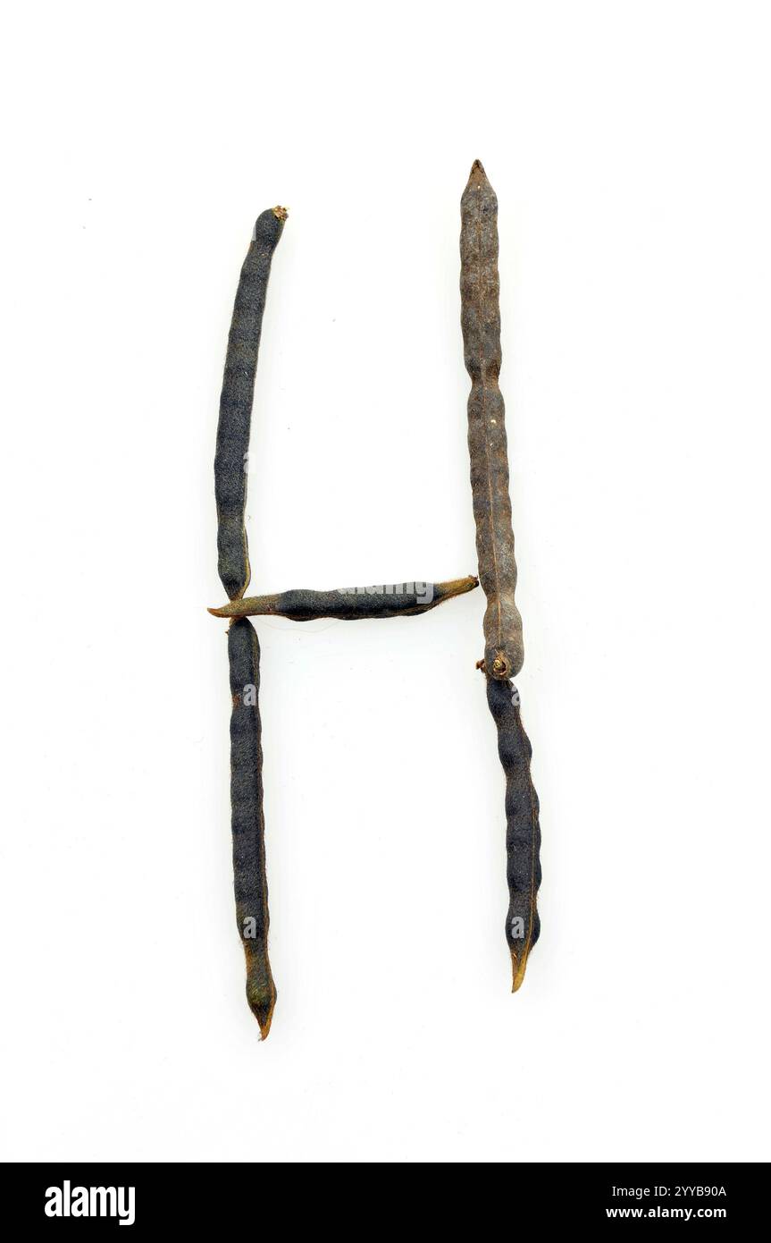 English red mung beans hi-res stock photography and images - Alamy