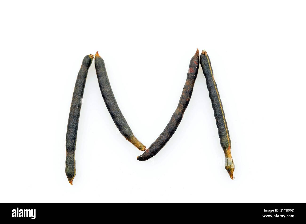 English red mung beans hi-res stock photography and images - Alamy