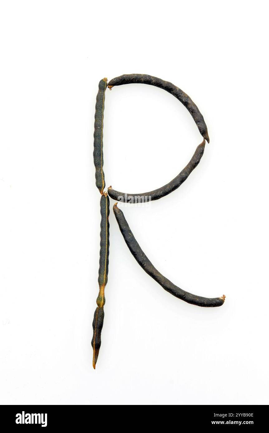 English red mung beans hi-res stock photography and images - Alamy