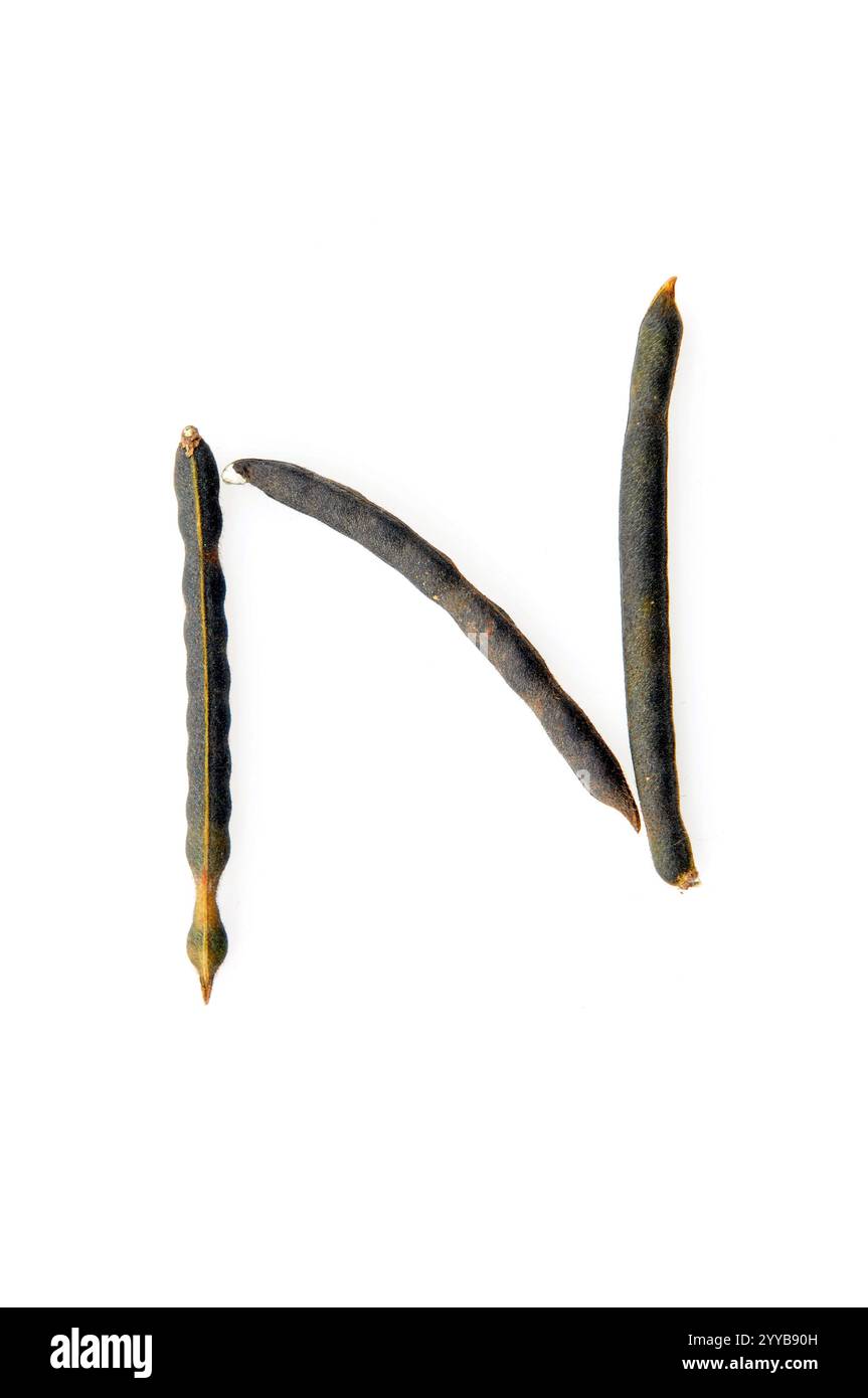 English red mung beans Cut Out Stock Images & Pictures - Alamy