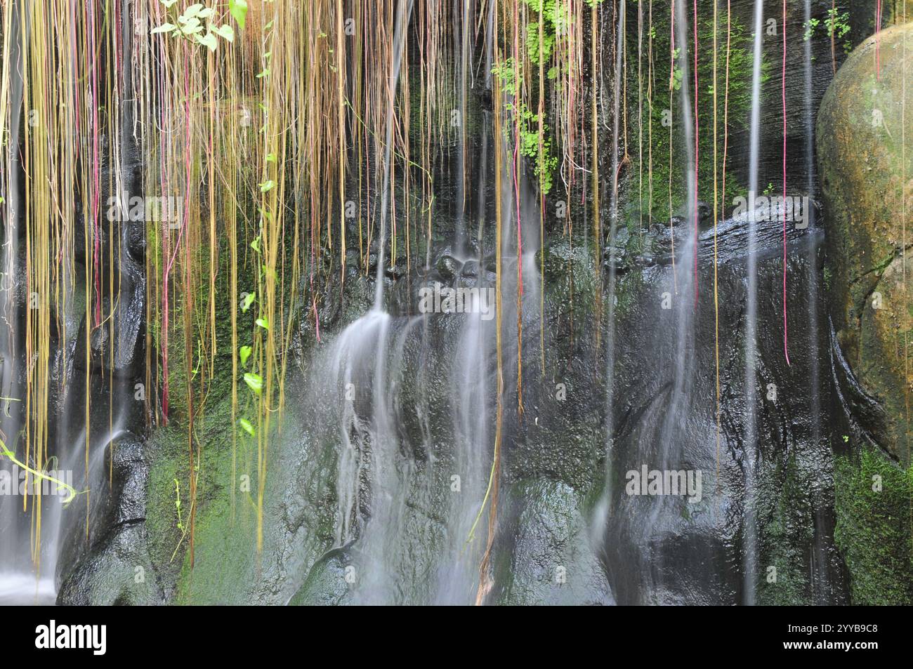 Aerial small waterfall in tree hi-res stock photography and images - Alamy