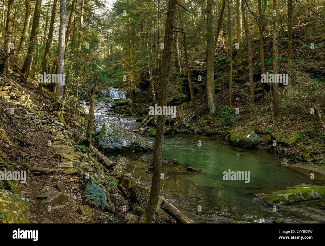 The water flowing from Blue Hole Falls cascades over a rocky riverbed ...