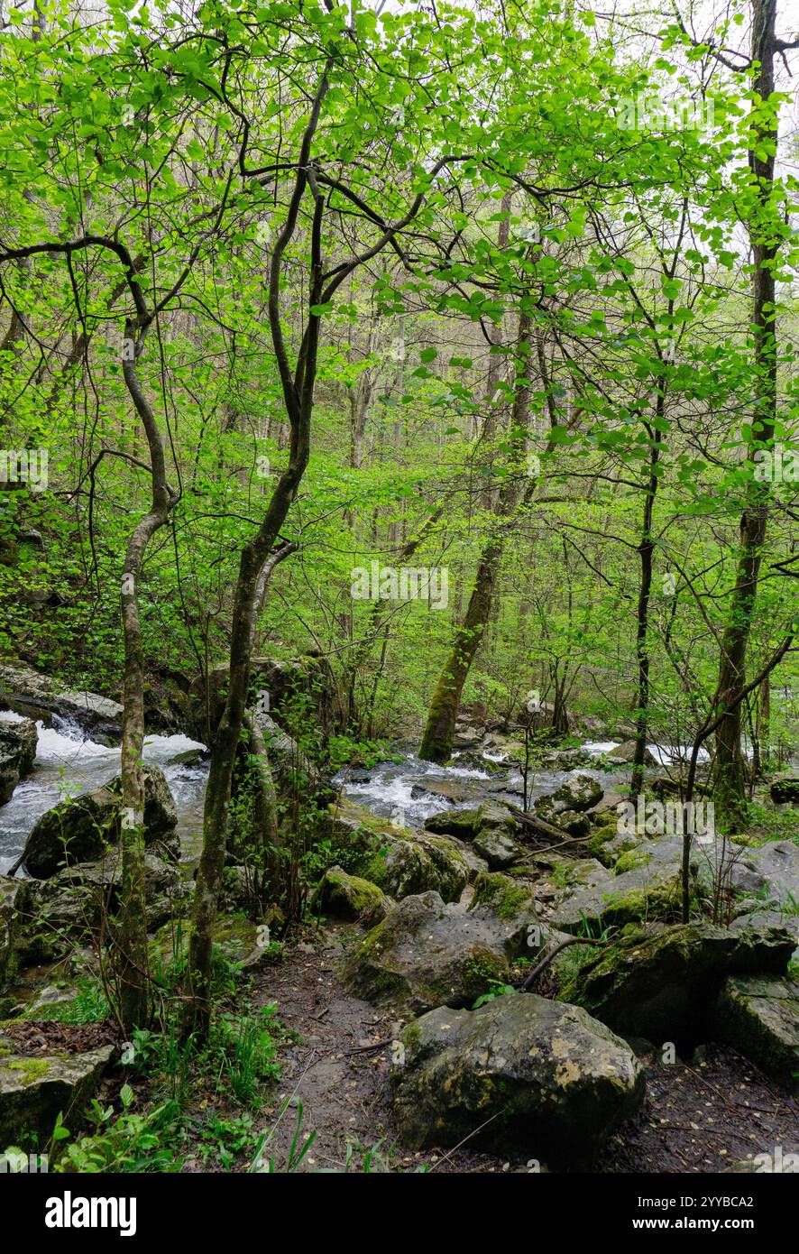 Buggy top trail hi-res stock photography and images - Alamy