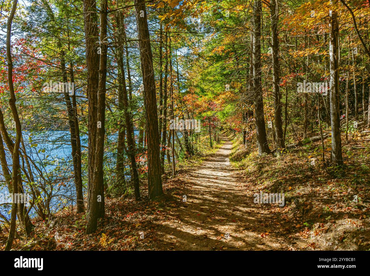 In fall, vibrant red, yellow, and green trees line the Indian Boundary ...