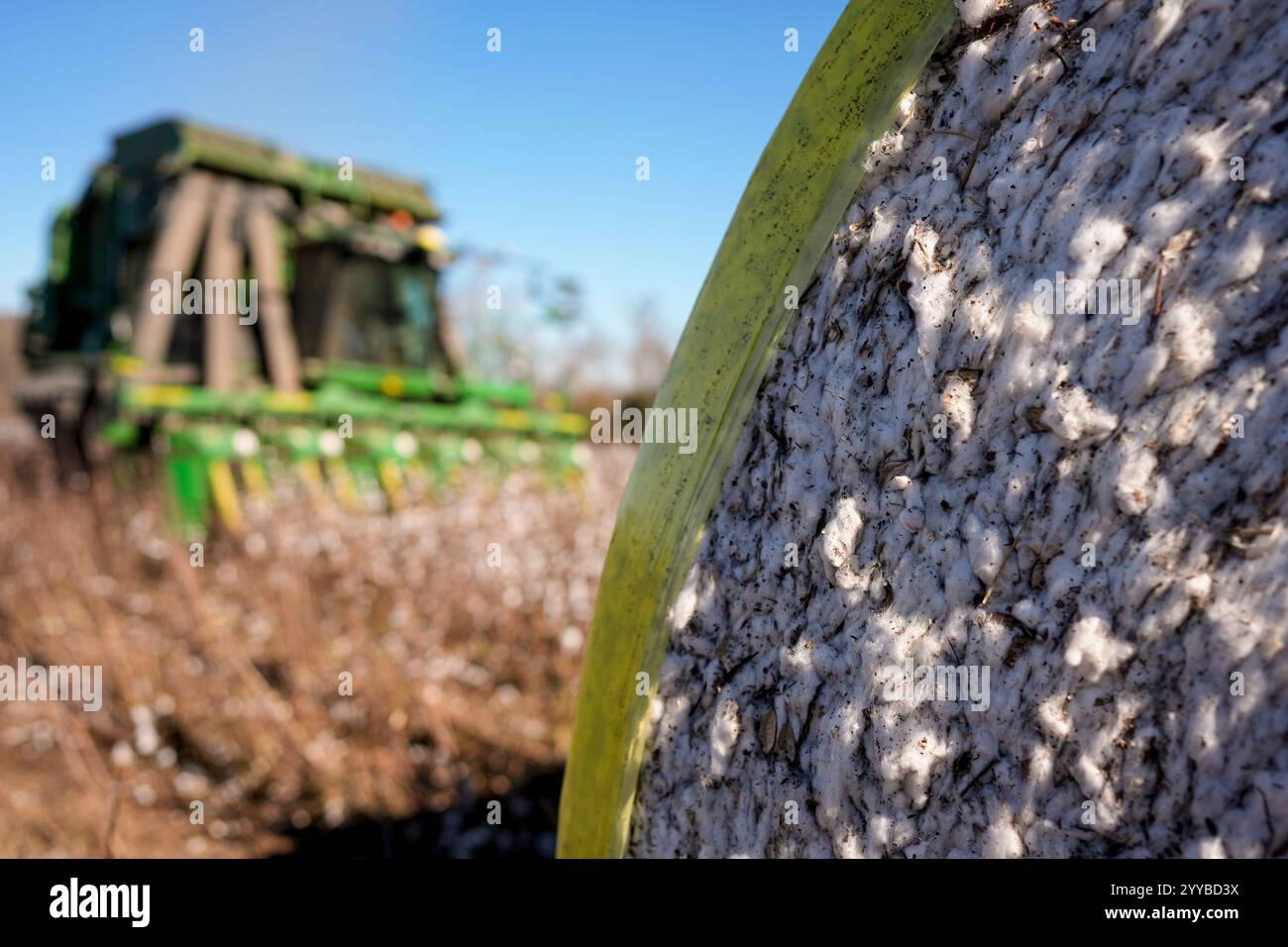 A cotton picker moves through Chris Hopkins' cotton field as a round ...