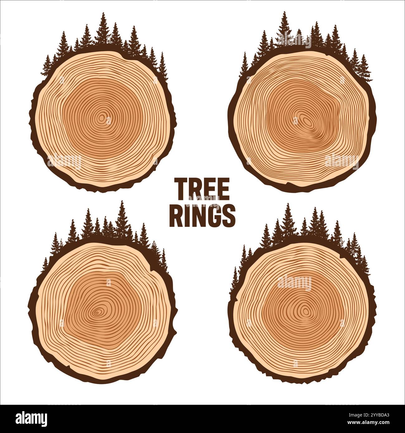 Round tree trunk cuts with trees and forest. Sawn pine or oak slices ...