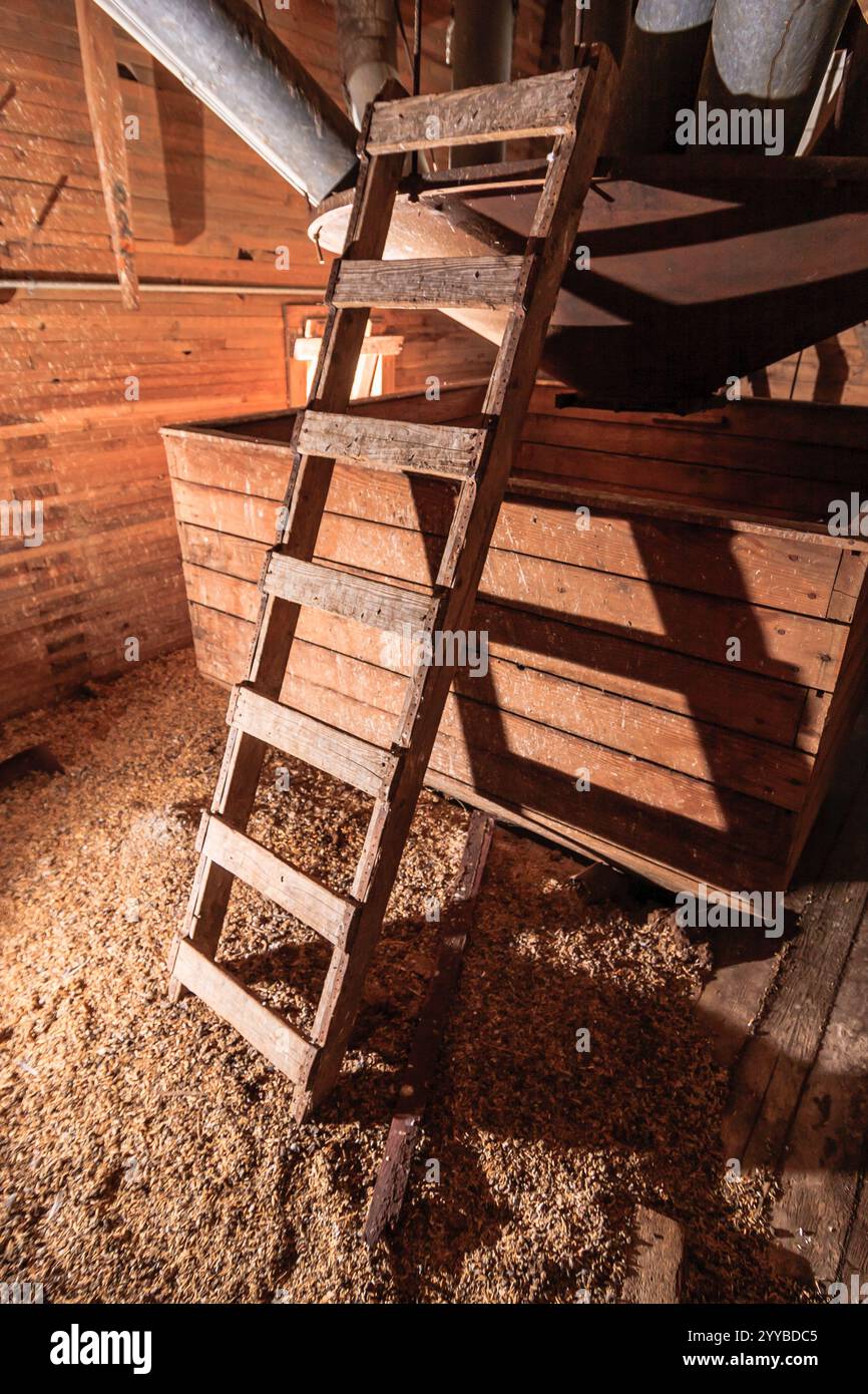 A ladder is leaning against a wooden structure. The ladder is made of ...