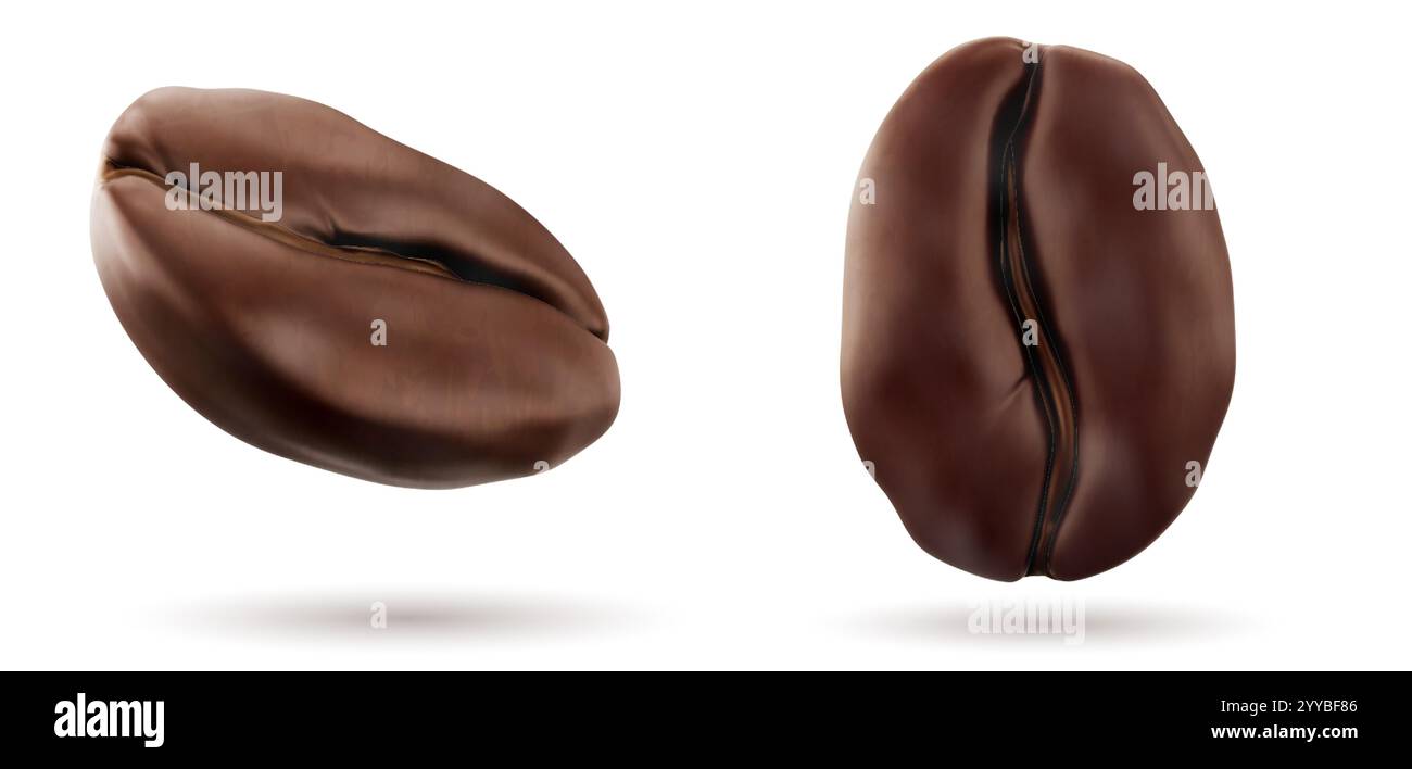 3d coffee beans isolated. Realistic brown seed icon for espresso in ...