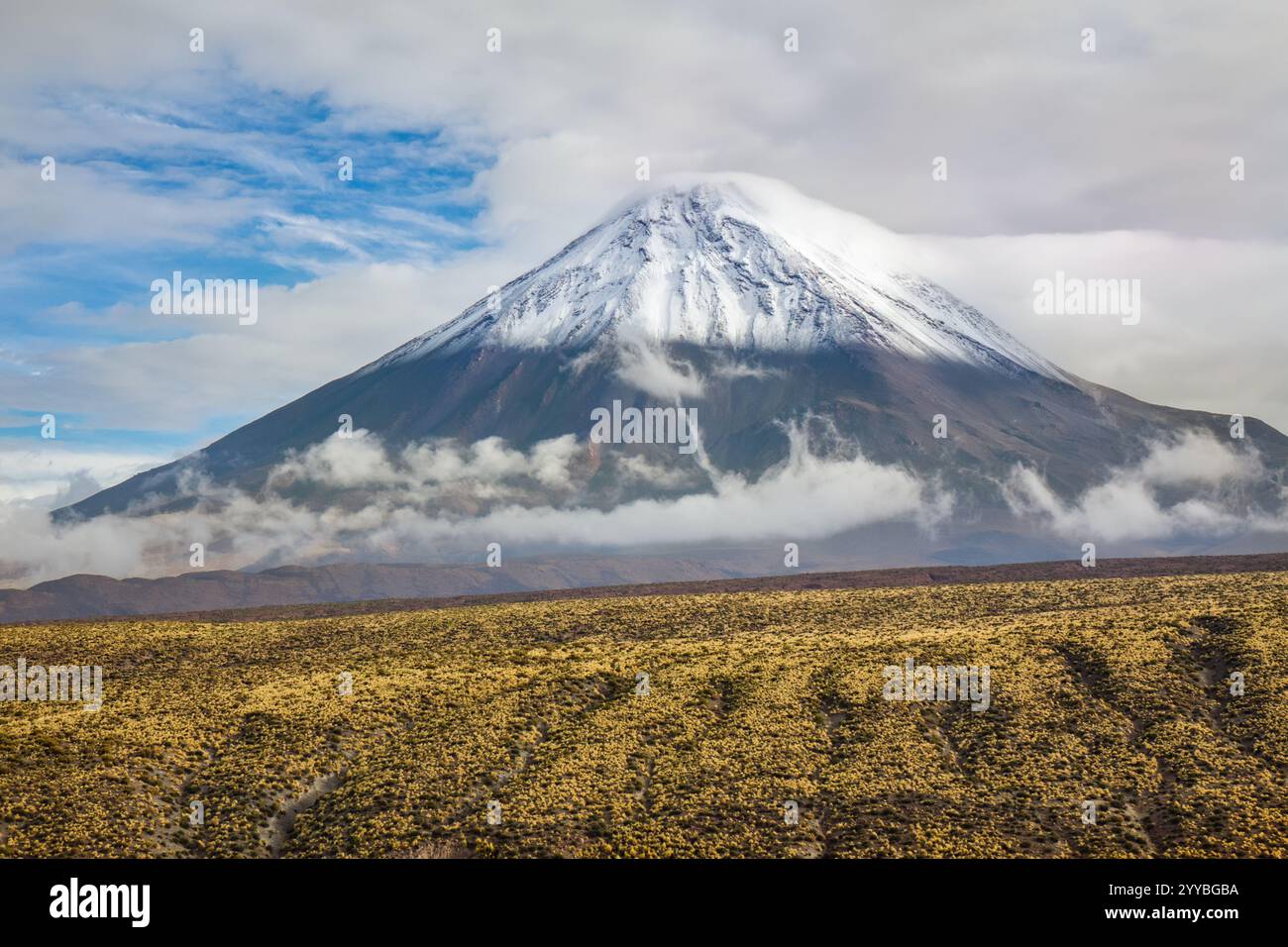 Atacama desert savanna, mountains and volcano landscape, Chile, South ...