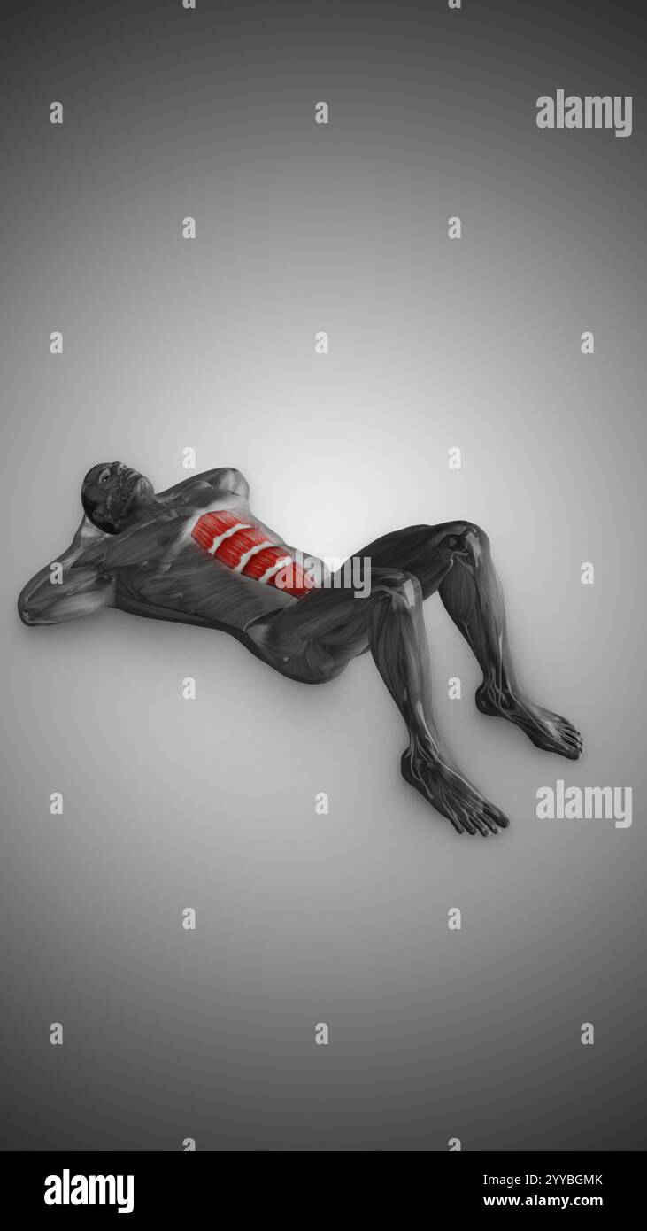 Vertical leg crunches hi-res stock photography and images - Alamy