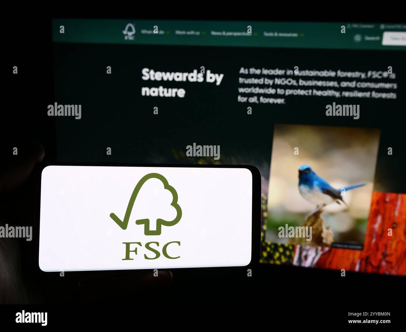 Fsc logos hi-res stock photography and images - Alamy