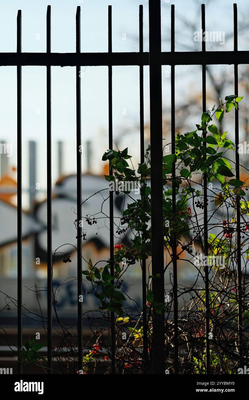 Urban environment from subway station with fence, greenery and graffiti ...