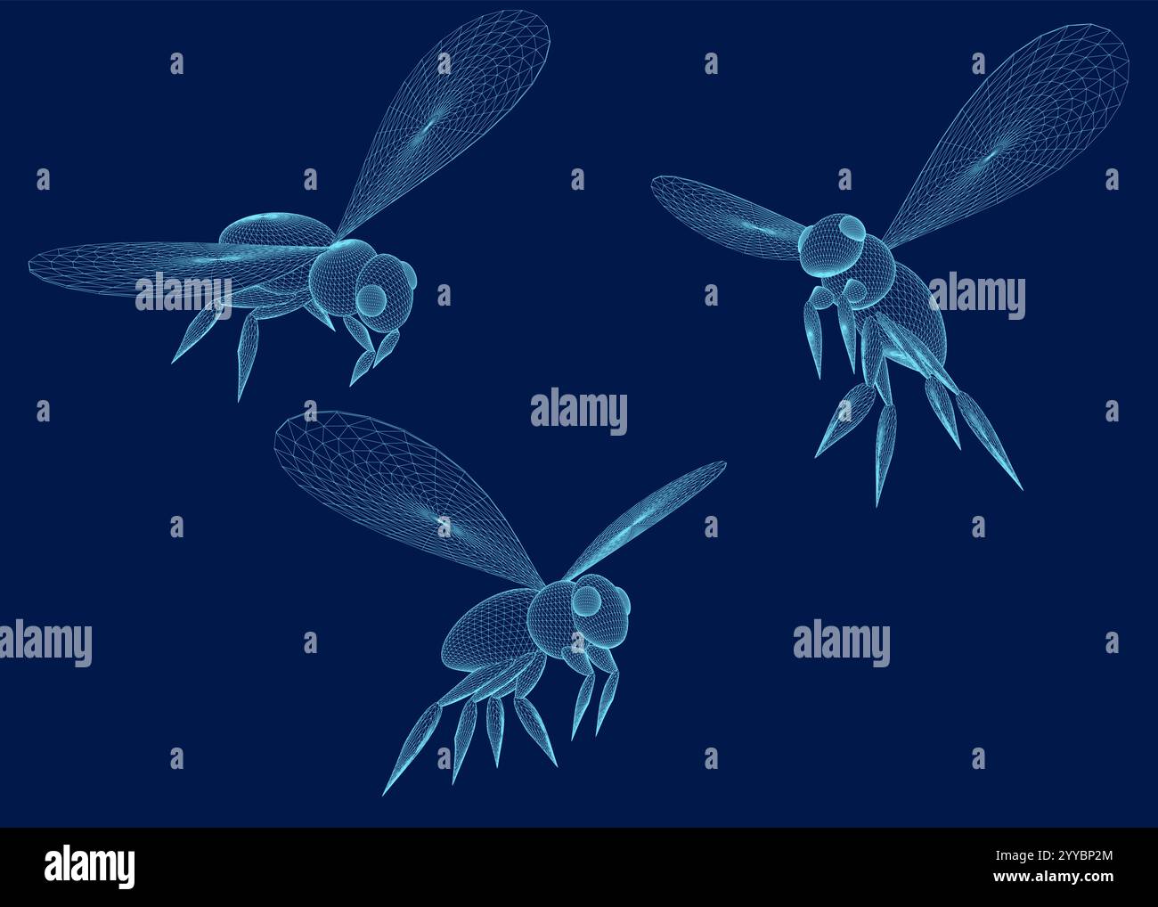 Vector drawing of a bee toy wireframe. Vector illustration. 3D Stock ...