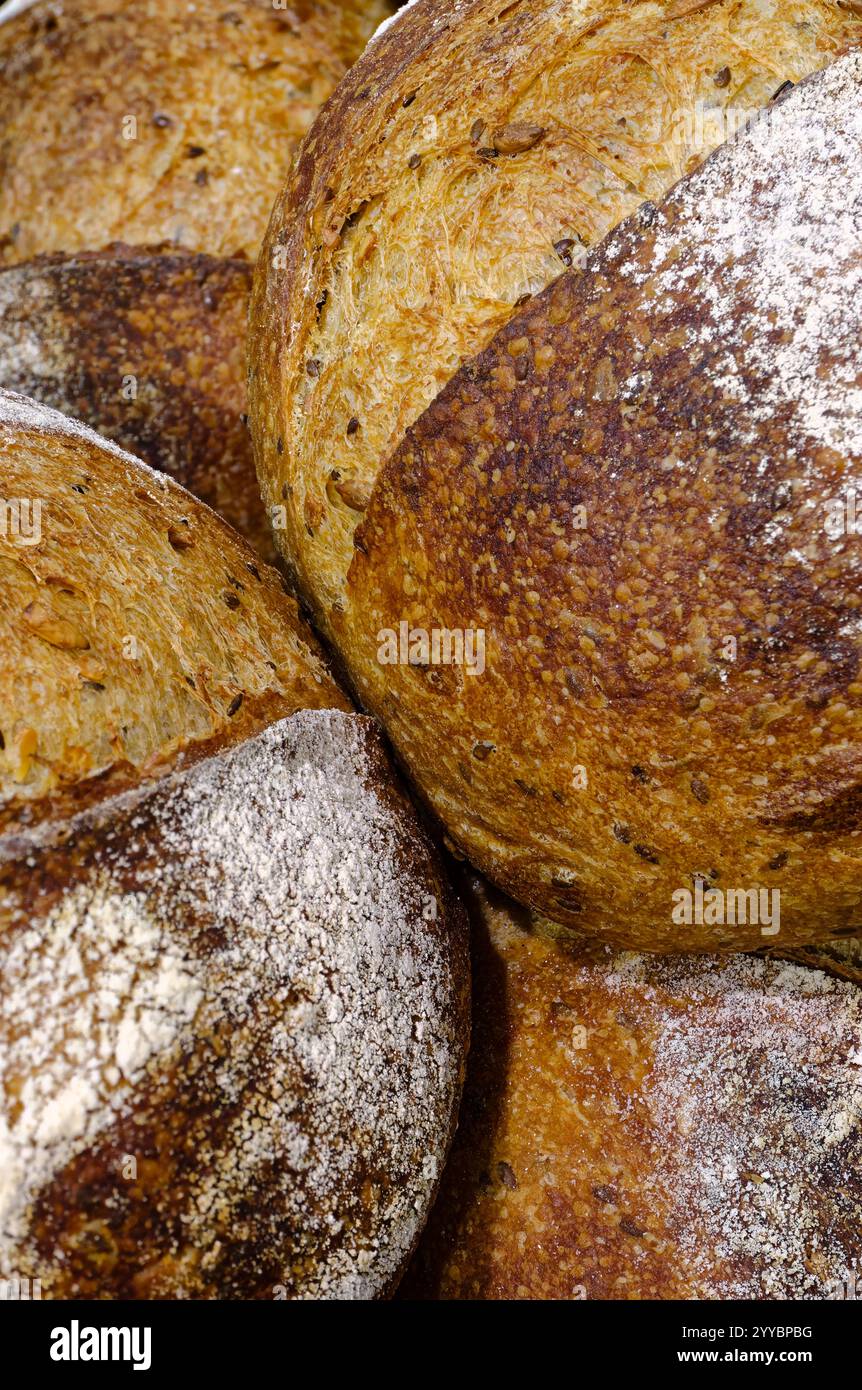 Group of traditional round loaves of dark rye bread with seeds, food ...